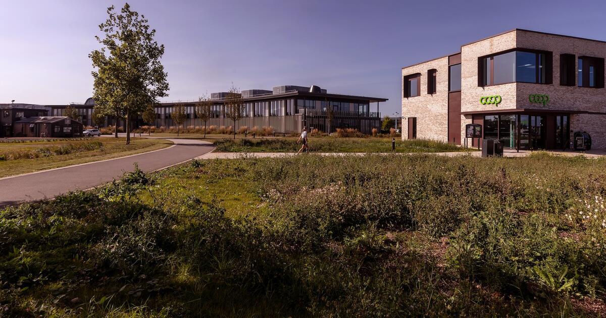 Homepage | Alconbury Weald